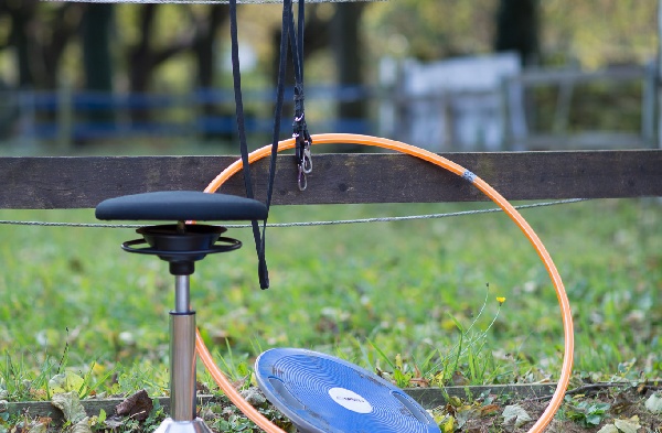 Training Equus by Jule Liebelt _ Training mit – durch – für – von Pferden in Norderstedt